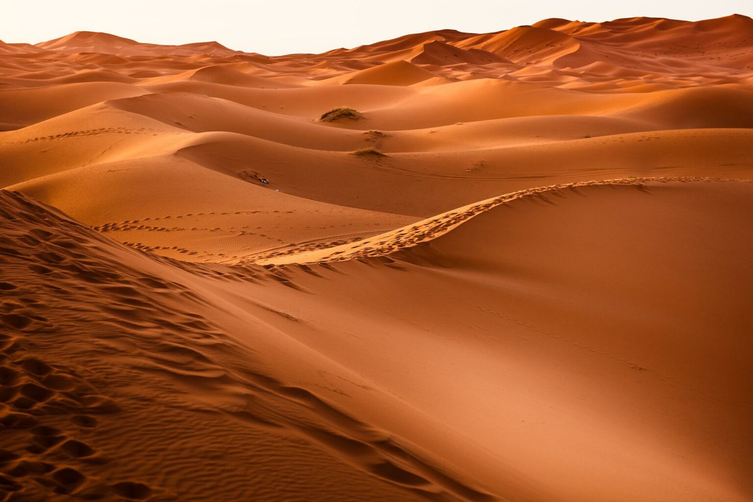 Most amazing deserts you need to visit