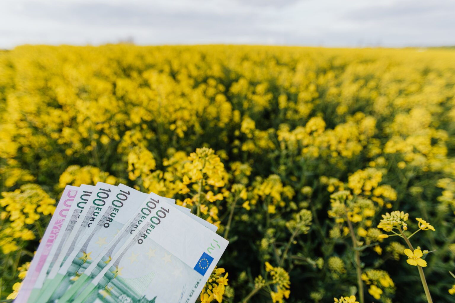 Best Travel Money Options best-travel-money-options